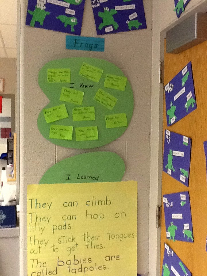 Kindergarten Research Project: Easy Frog STEM and Language - Teach ...